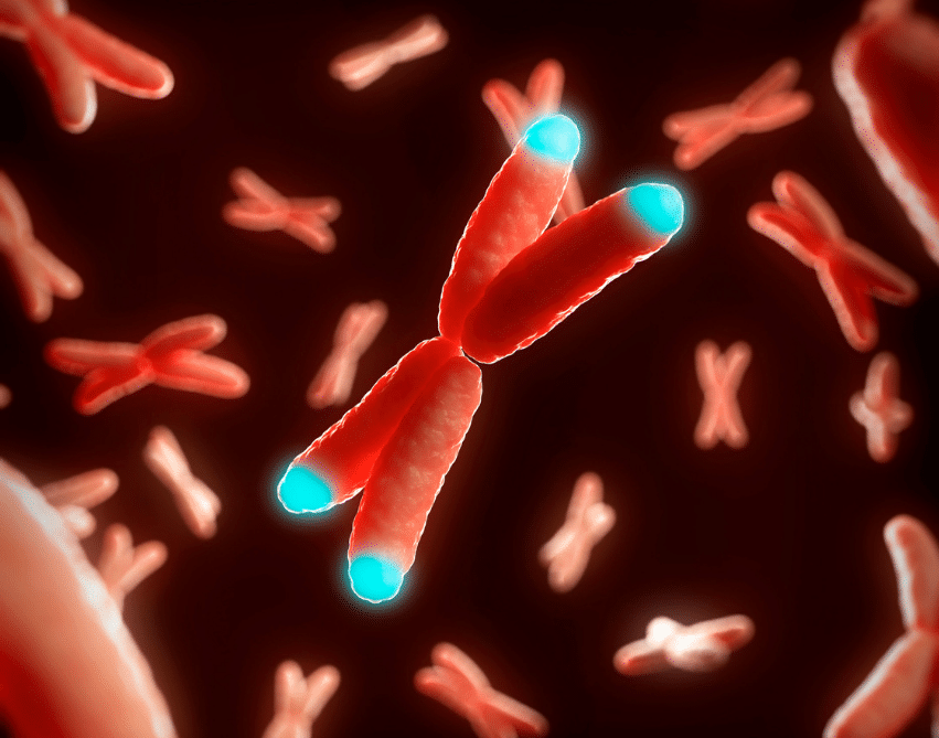 The Advantages Of Telomere Testing | Omniya Clinic Blog